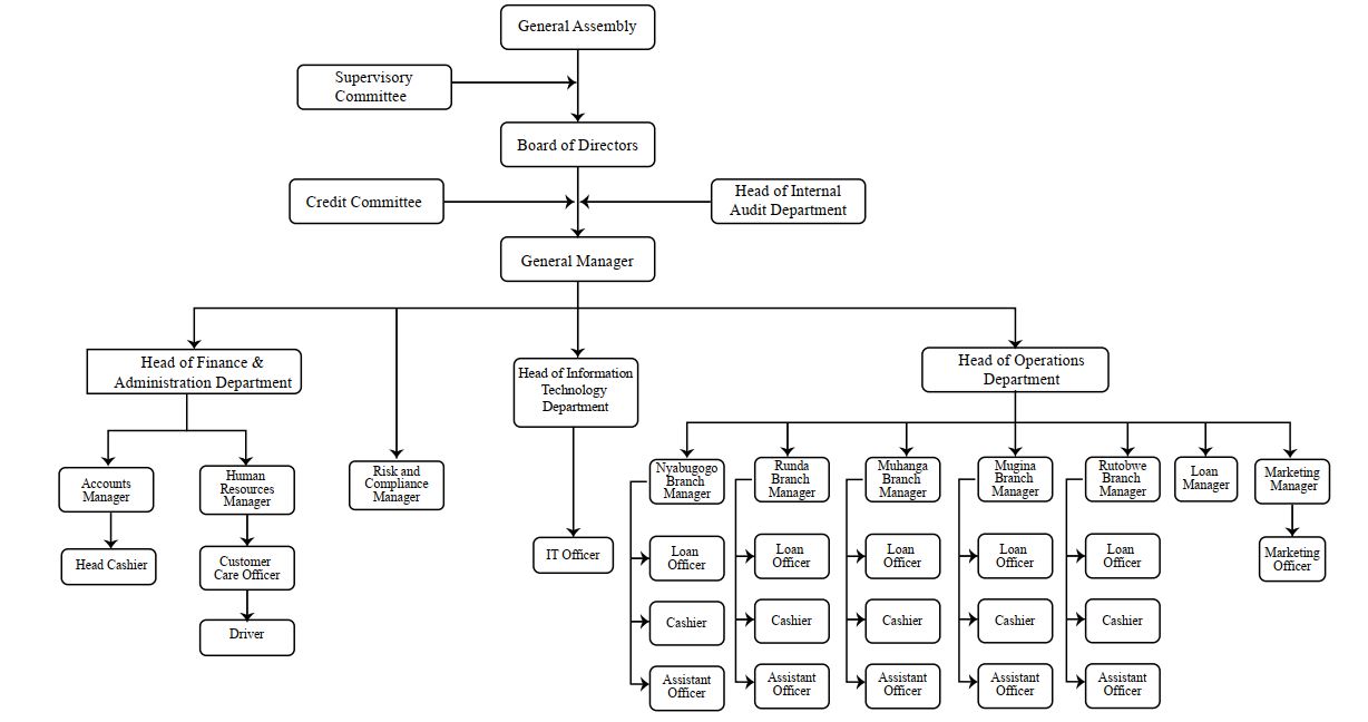 Structure - CPF-INEZA